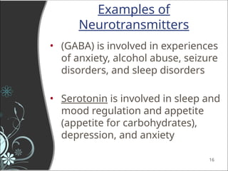Neuropsychology Power Point Presentation | PPTX