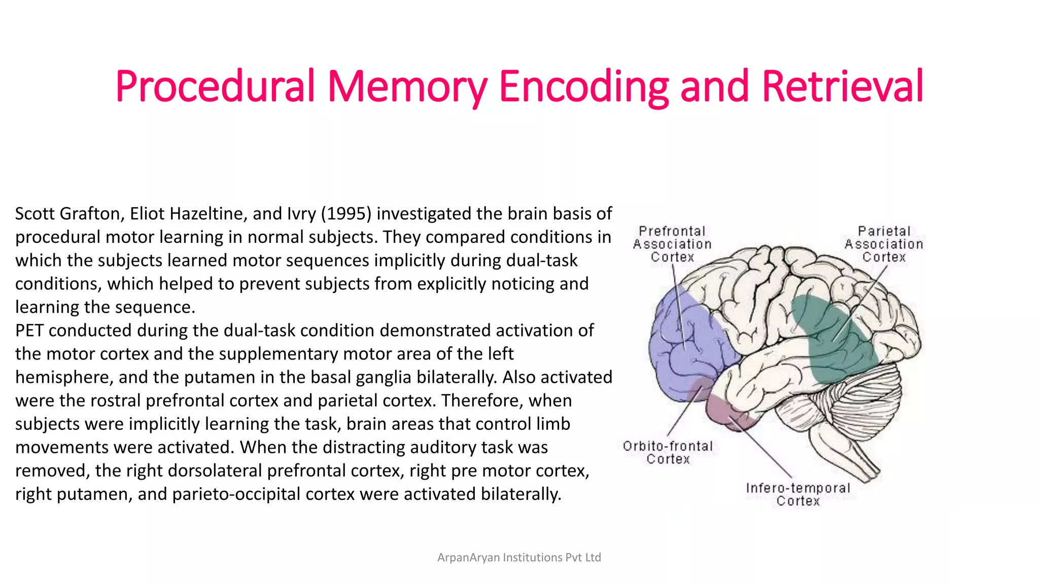 Neuropsychology learning and memory | PDF