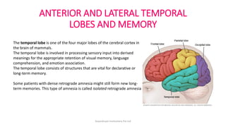 Neuropsychology learning and memory | PDF