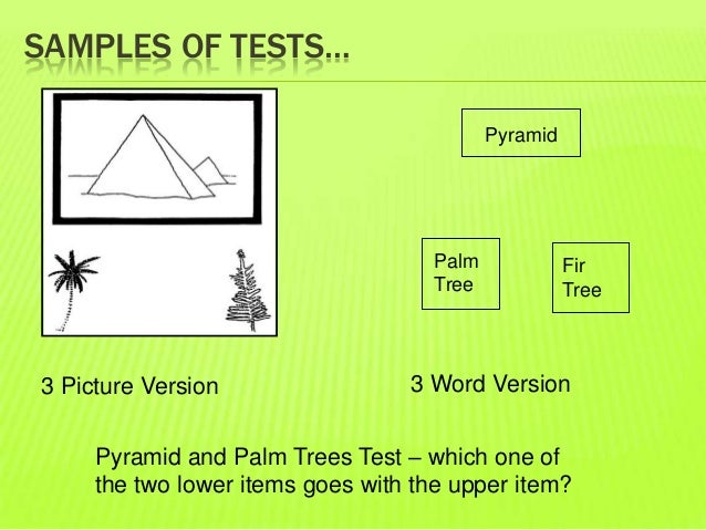 Neuropsychology compiled report
