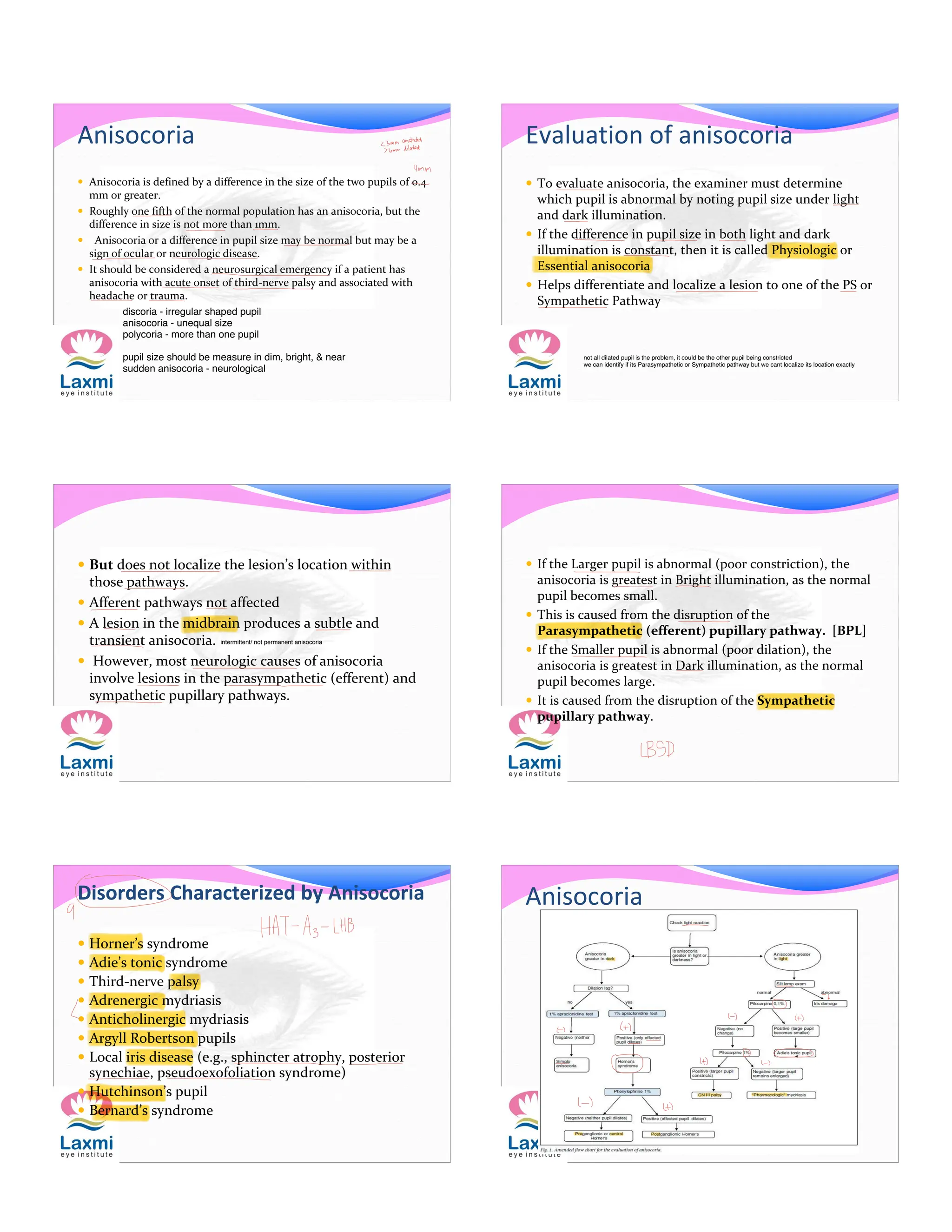 neuropto P2 anisocoria, ocular motor system | PDF