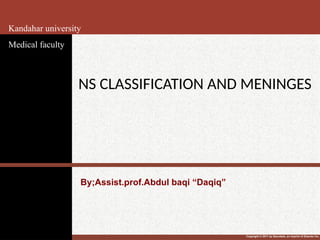Neuropysiology 2nd lecture (NS classification&Meninges)..ppt