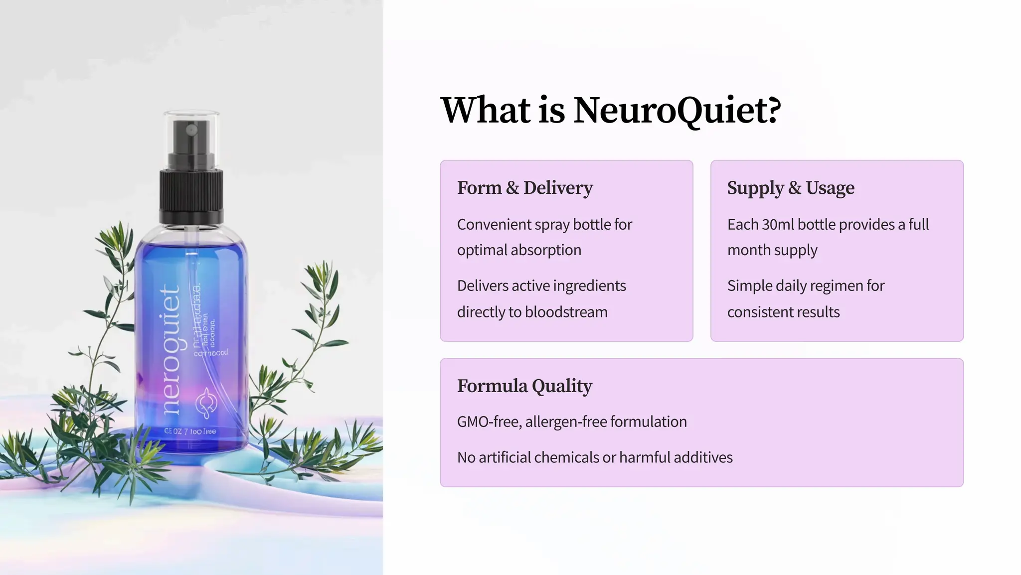 NeuroQuiet-Breakthrough-for-Brain-Hearing-and-Tinnitus | PDF