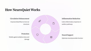 NeuroQuiet-Breakthrough-for-Brain-Hearing-and-Tinnitus | PDF