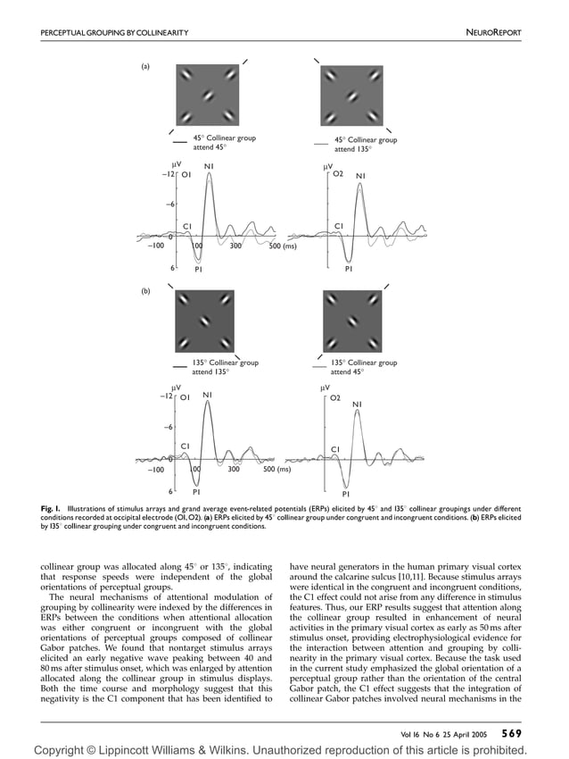 NeuroReport_Neural mechanisms of attentional modulation of perceptual grouping by collinearity | PDF