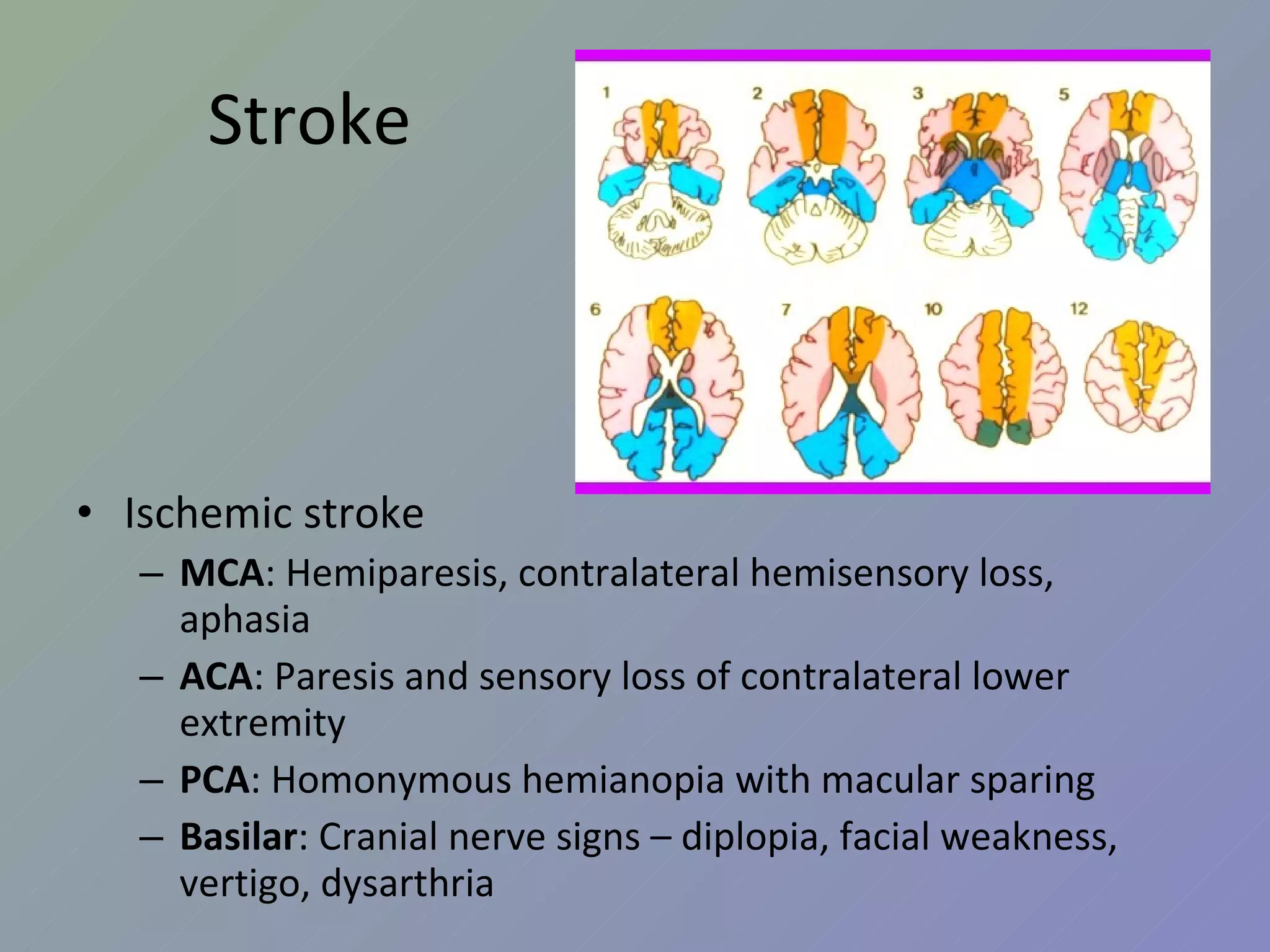 NeuroSx step2 Review | PPT