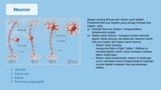 NEUROSAINS KOGNITIF..pptx