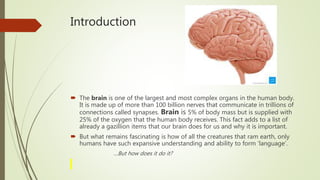 Language and comprehension - Neuroscience Coursera | PPTX