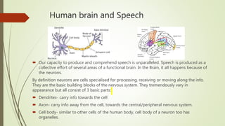 Language and comprehension - Neuroscience Coursera | PPTX
