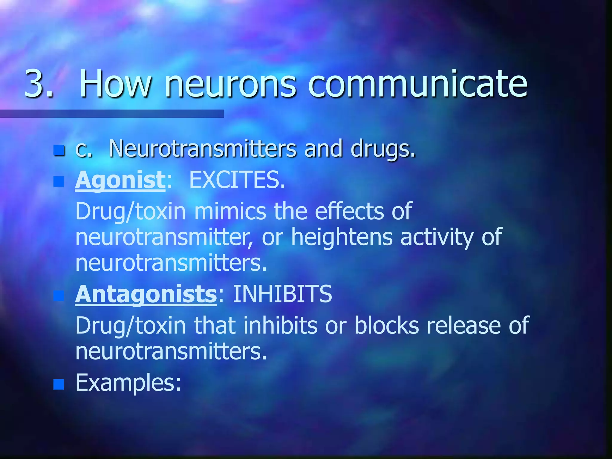 neuroscience.ppt