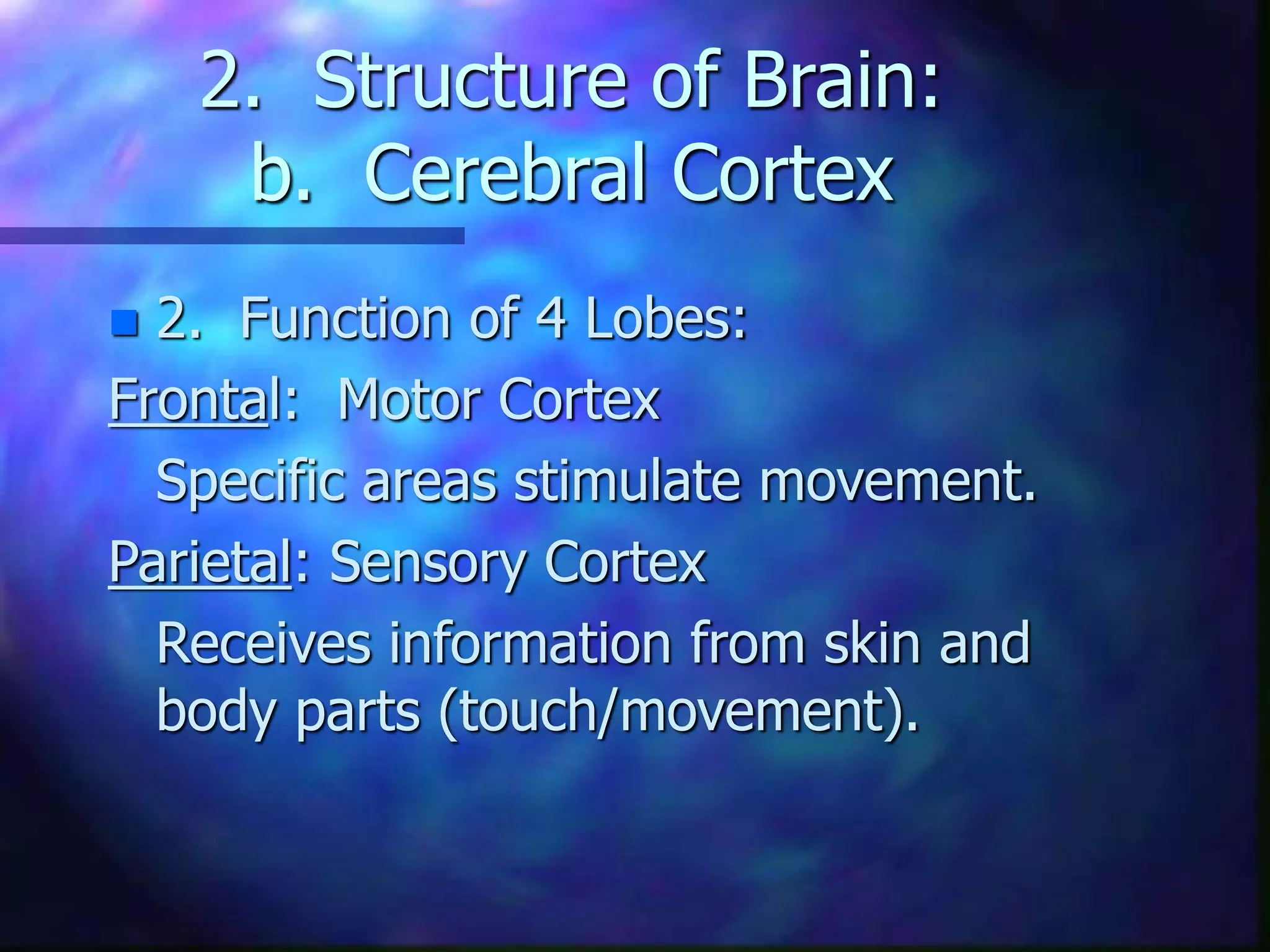 neuroscience.ppt