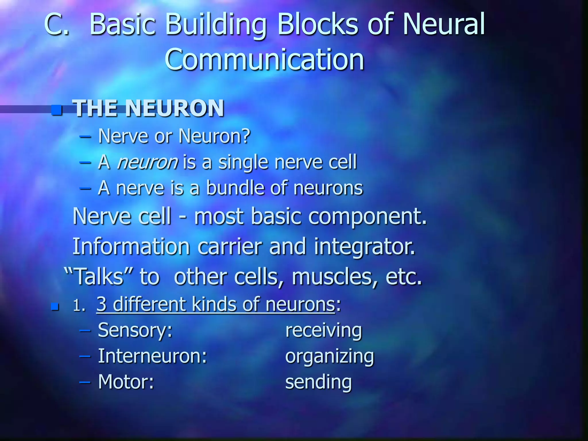 neuroscience.ppt