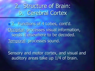 neuroscience.ppt