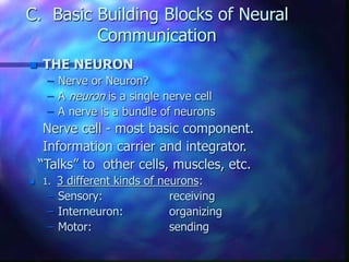 neuroscience.ppt