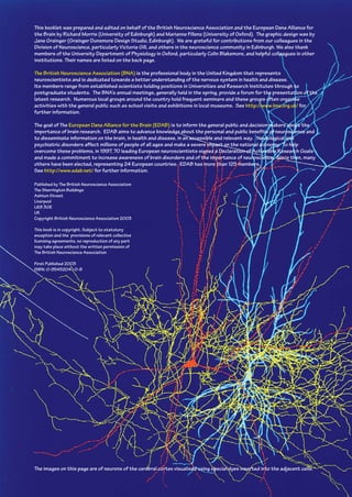 brain anatomy including brain stem cerebrum | PDF