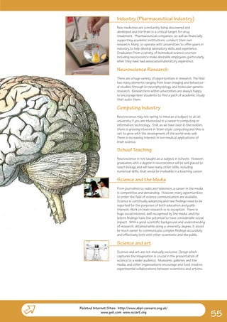 brain anatomy including brain stem cerebrum | PDF