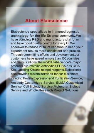 Neuroscience Antibodies - Elabscience | PDF | Endocrine and Metabolic Diseases | Diseases and ...