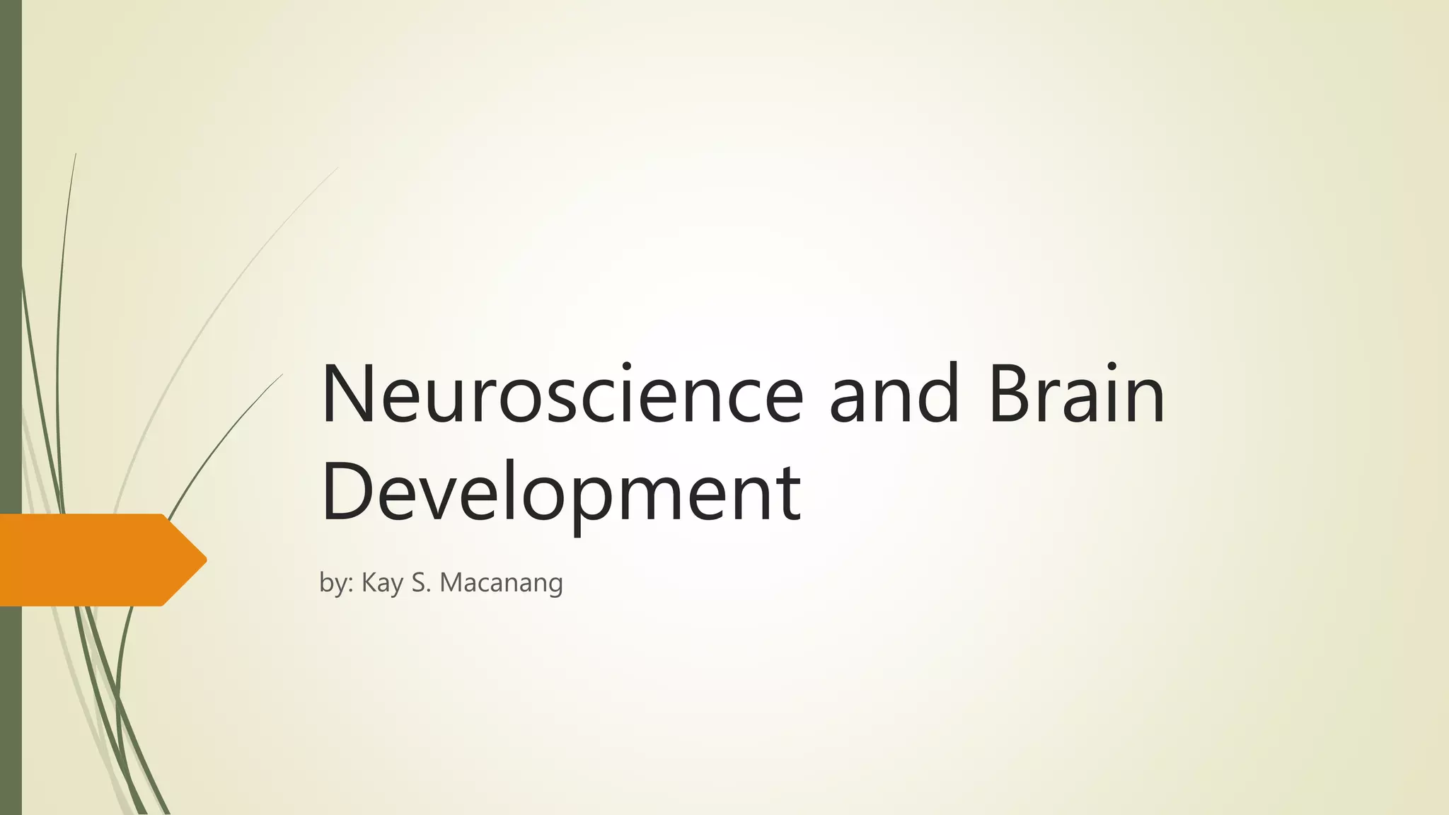 Neuroscience-Presentation-and-Brain-Development.pptx