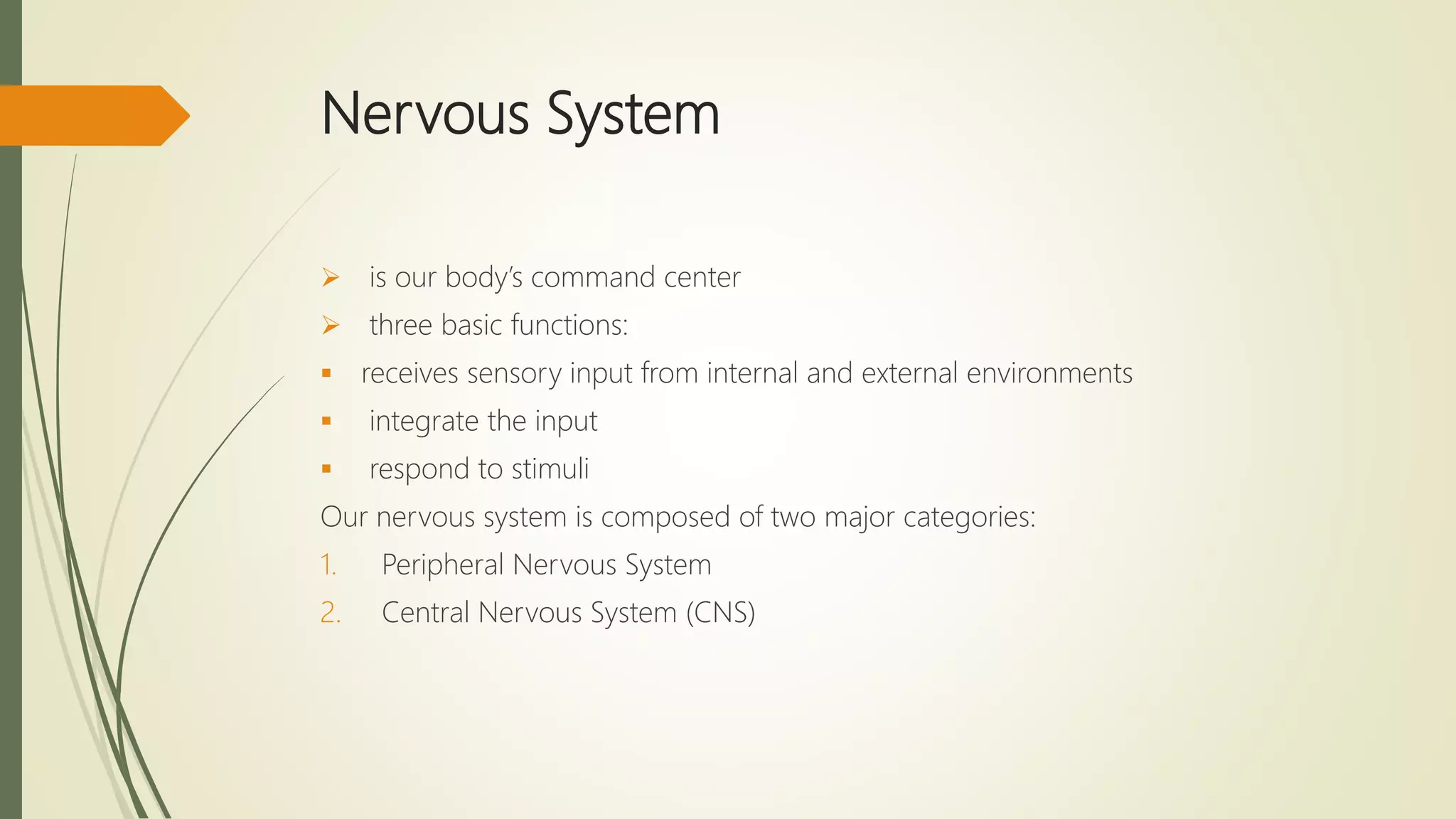 Neuroscience-Presentation-and-Brain-Development.pptx