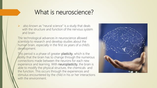 Neuroscience-Presentation-and-Brain-Development.pptx