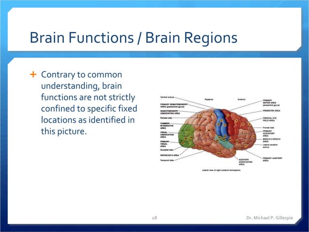 Neuroscience08_Neuroplasticity.ppt