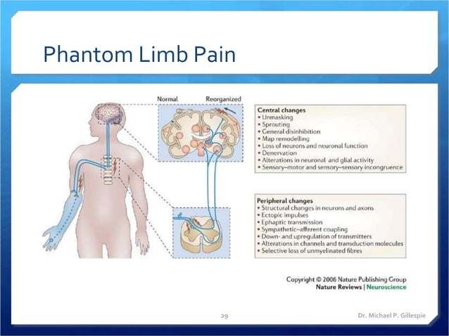 Neuroscience08_Neuroplasticity.ppt
