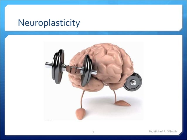 Neuroscience08_Neuroplasticity.ppt