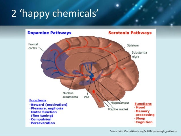 Neuroscience - Change management with the brain in mind