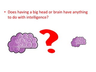 Neuroscience and intelligence | PPT