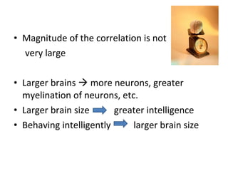 Neuroscience and intelligence | PPT