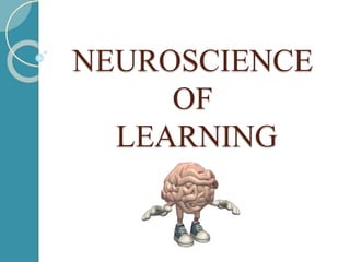 Neuroscience as a learning theory | PPTX