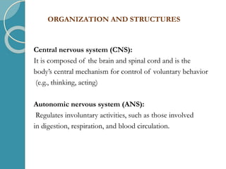 Neuroscience as a learning theory | PPTX