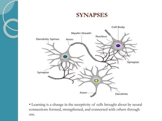 Neuroscience as a learning theory | PPTX