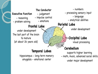 Neuroscience as a learning theory | PPTX