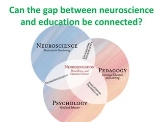 Neuroscience & education | PPT