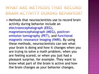 Neuroscience Methods | PPTX