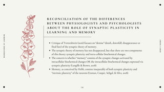 Neuroscience of Learning: Hebb's Theory | PDF