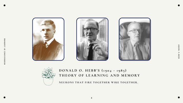Neuroscience of Learning: Hebb's Theory | PDF