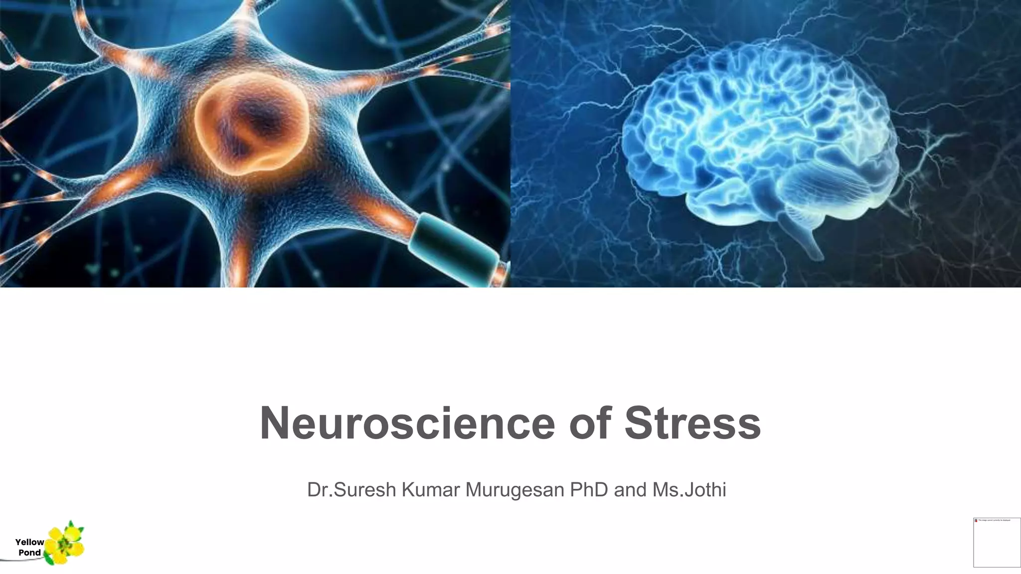 Neuroscience of Stress.pptx
