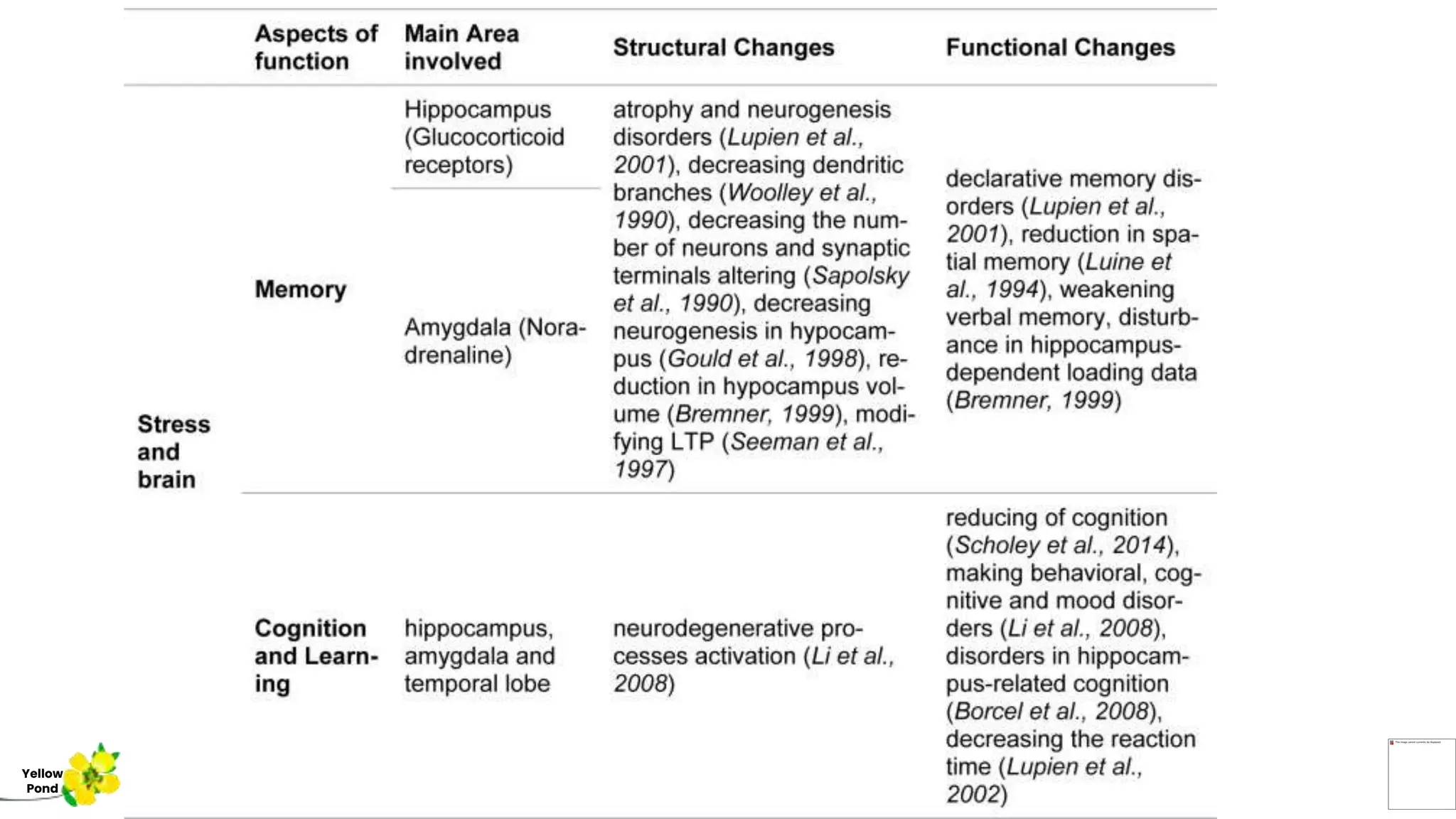 Neuroscience of Stress.pptx