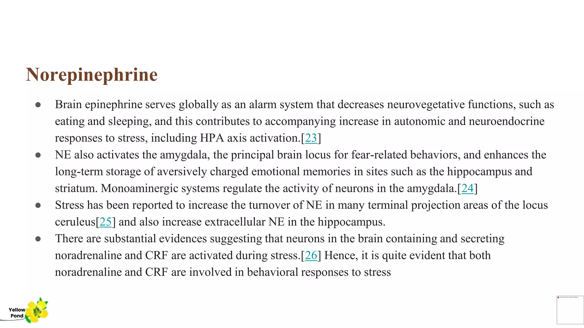 Neuroscience of Stress.pptx