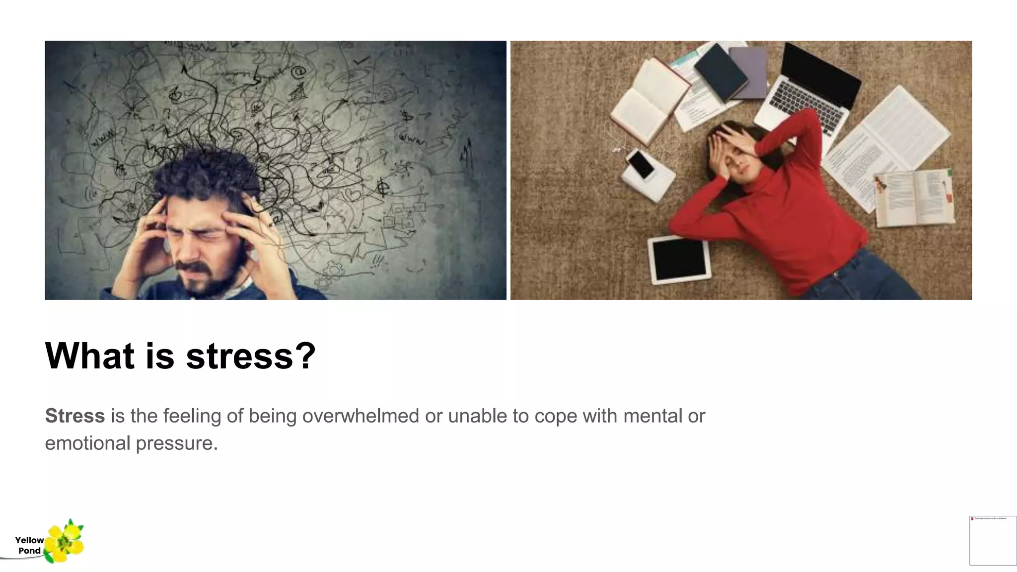 Neuroscience of Stress.pptx