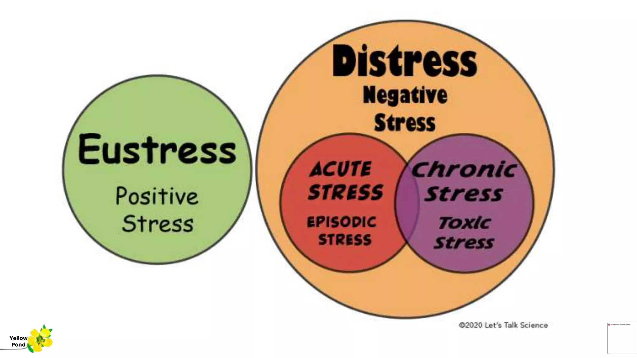 Neuroscience of Stress.pptx