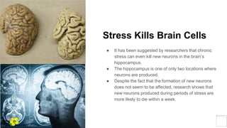 Neuroscience of Stress.pptx
