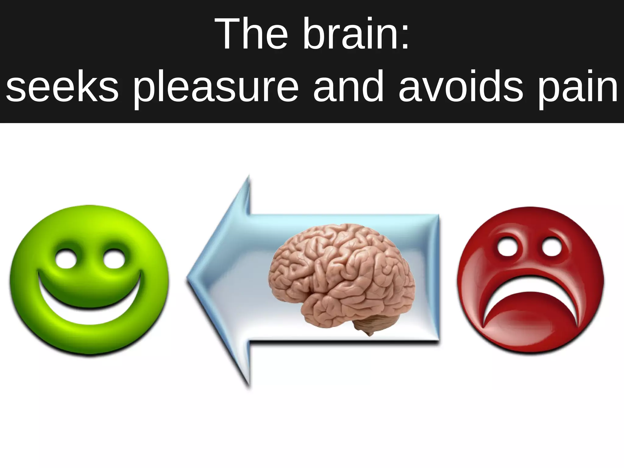 The neuroscience of the brain and conflict | PPT