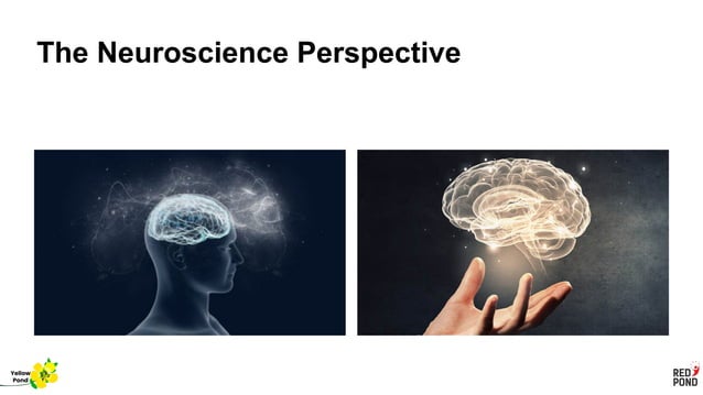 Neuroscience perspective of compassion | PPT