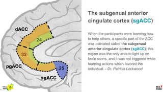 Neuroscience perspective of compassion | PDF