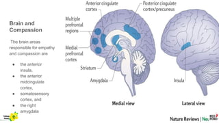 Neuroscience perspective of compassion | PDF