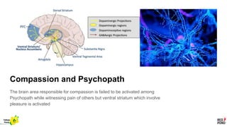 Neuroscience perspective of compassion | PPT