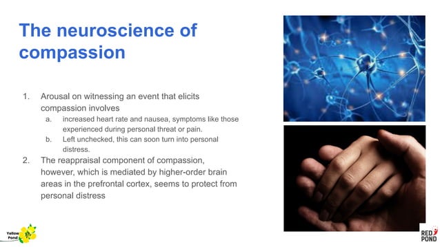 Neuroscience perspective of compassion | PPT